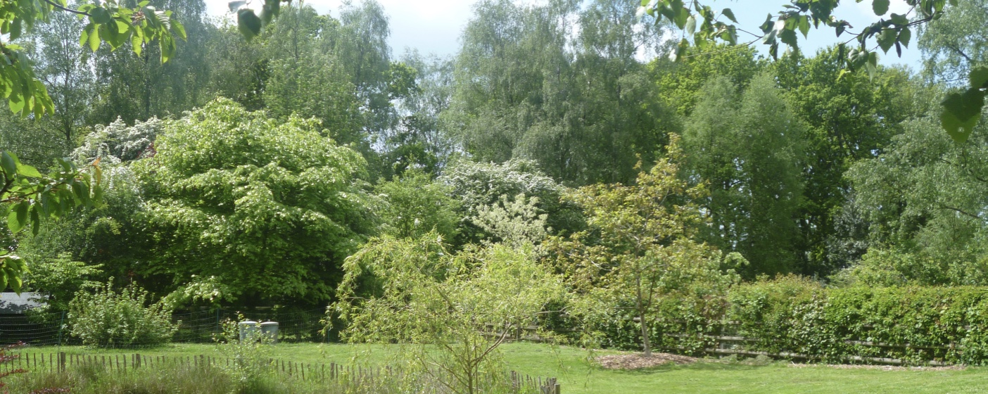 Land ownership? Why bother? Because its empowering and joyful.