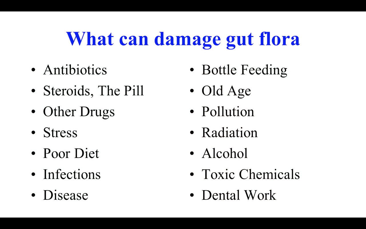 GAPS syndrome and the importance of gut health - with Dr Natasha ...